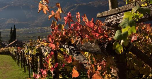 Die schönsten Ausflugsziele in Terlan, Vilpian und Siebeneich - Nicht ...